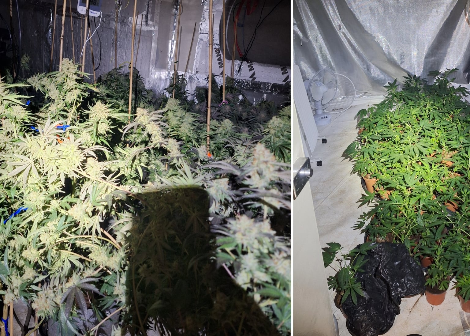 Lithuanian man makes ‘significant admissions’ in connection with ...