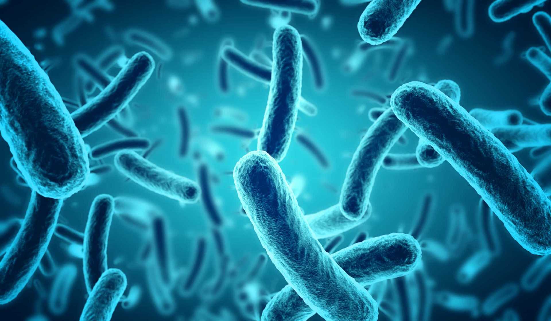 How to kill germs in your car