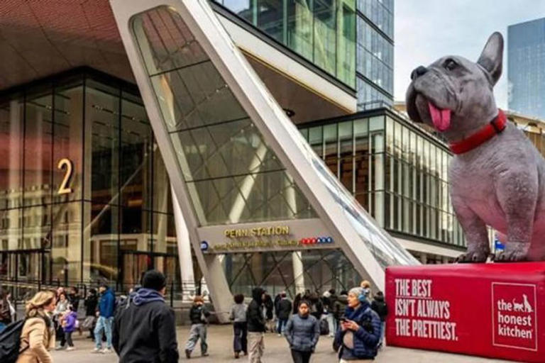 Cómo ver el pug inflable del Westminster Dog Show en Nueva York este ...
