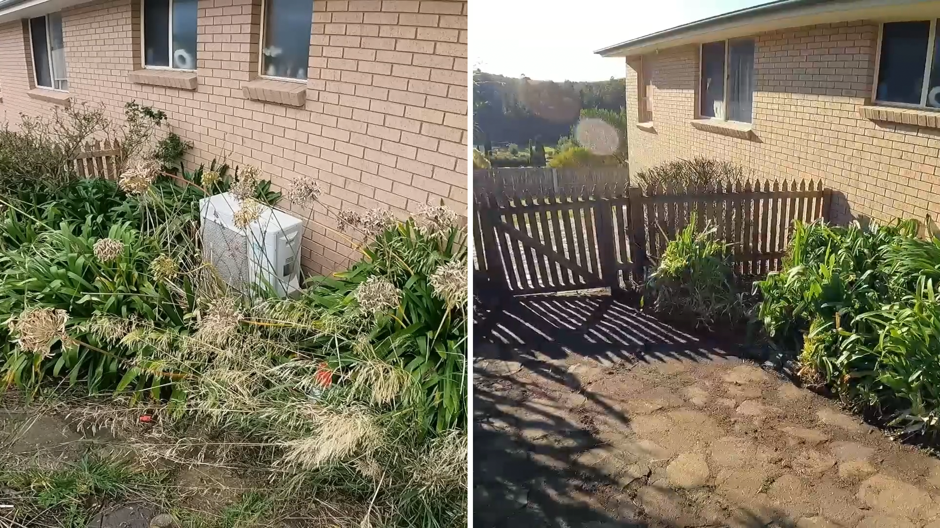 Can we fix this garden disaster?
