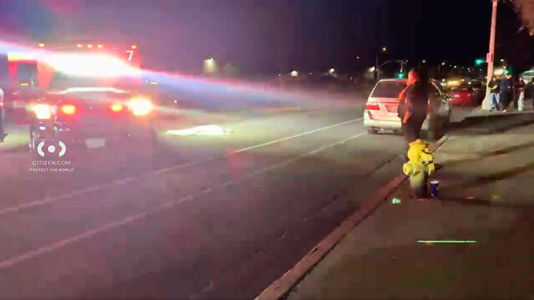 Hit-and-run driver kills elderly woman in San Fernando Valley