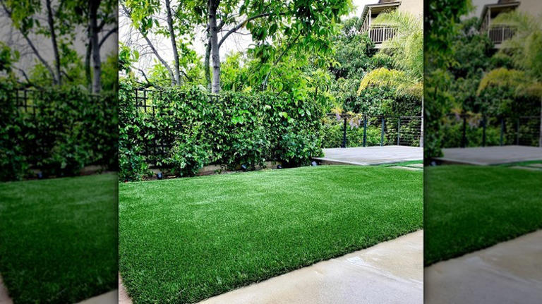 Is Costco's artificial grass worth buying? Here's what users say