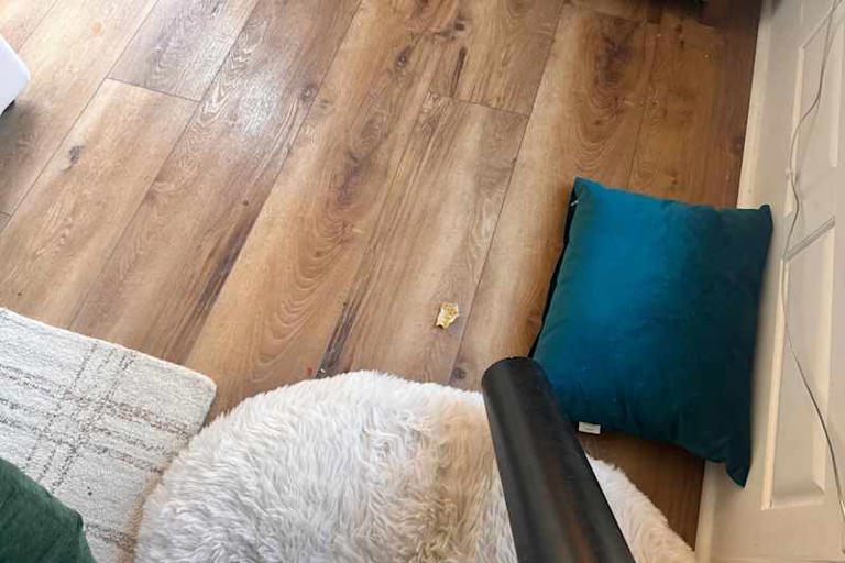 I used a leaf blower to clean inside my house, and it actually worked