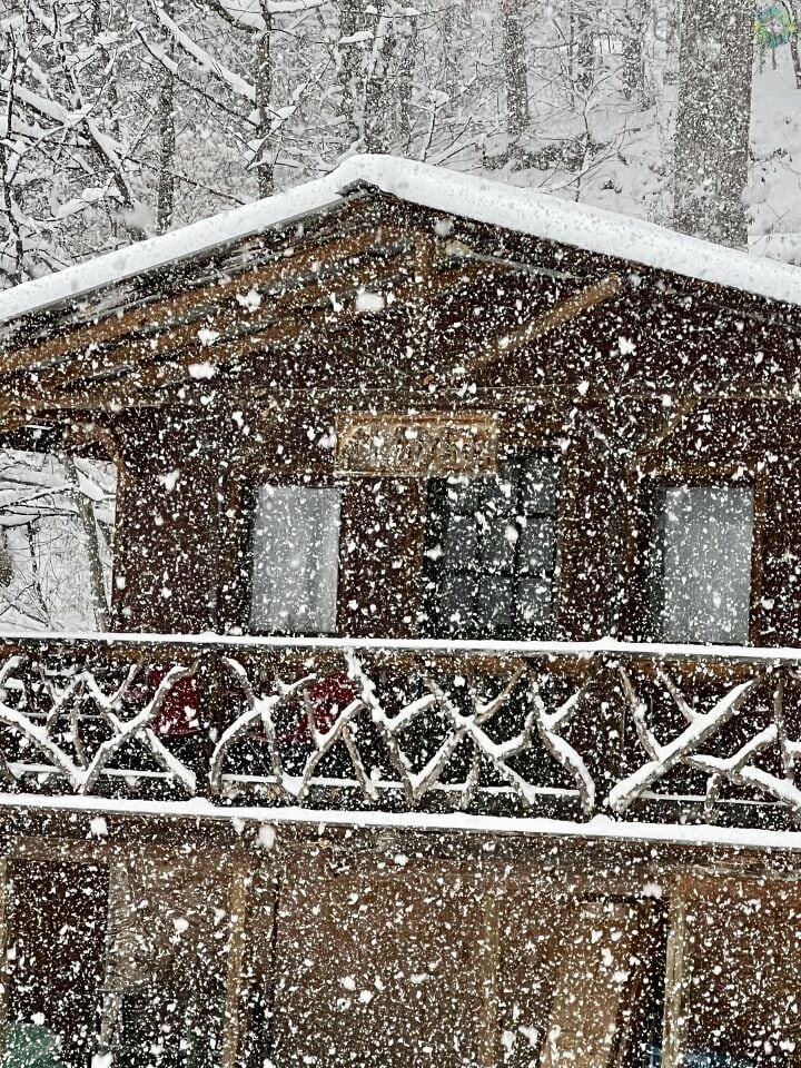 Live updates: 8 inches of snow in NE Georgia, 60 mph wind gust in ...