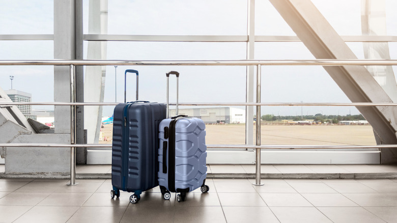 Here's what TSA really does with items left behind at checkpoints