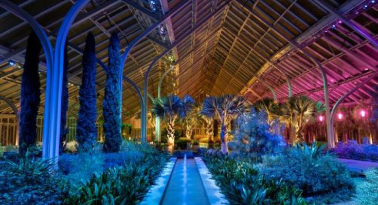 Winter wonder ignites Longwood Gardens with light, color, and after ...