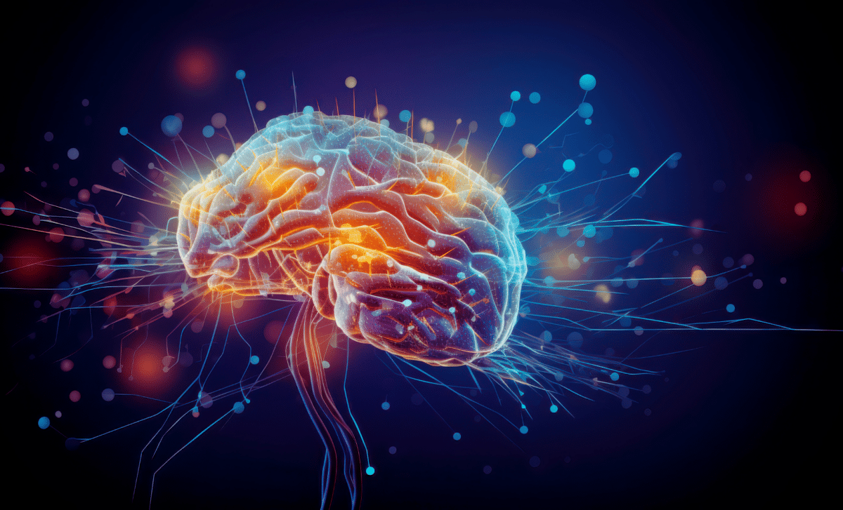 The brain has a ‘drainage tunnel’ you never knew existed, now they’ve ...