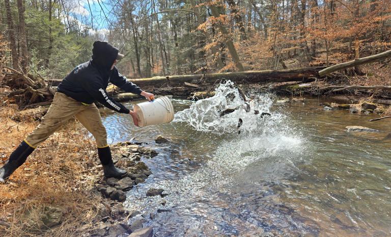 PFBC notes stocking exemptions on wild trout streams, other changes