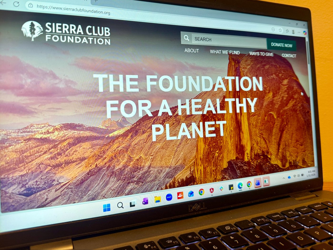 A former Sierra Club Foundation director sues over internal racism that ...