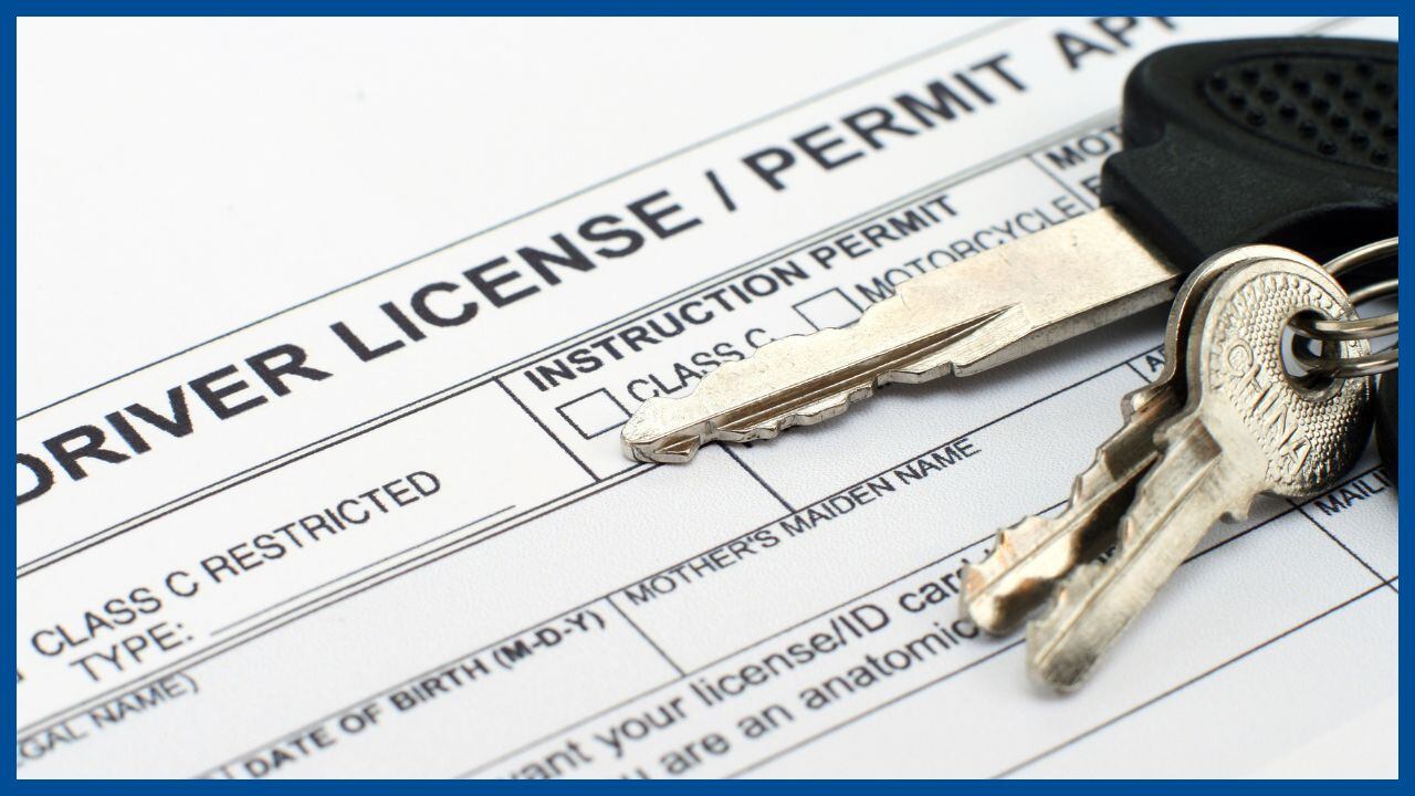 Driver’s license changes has mixed reactions among local Jacksonville ...