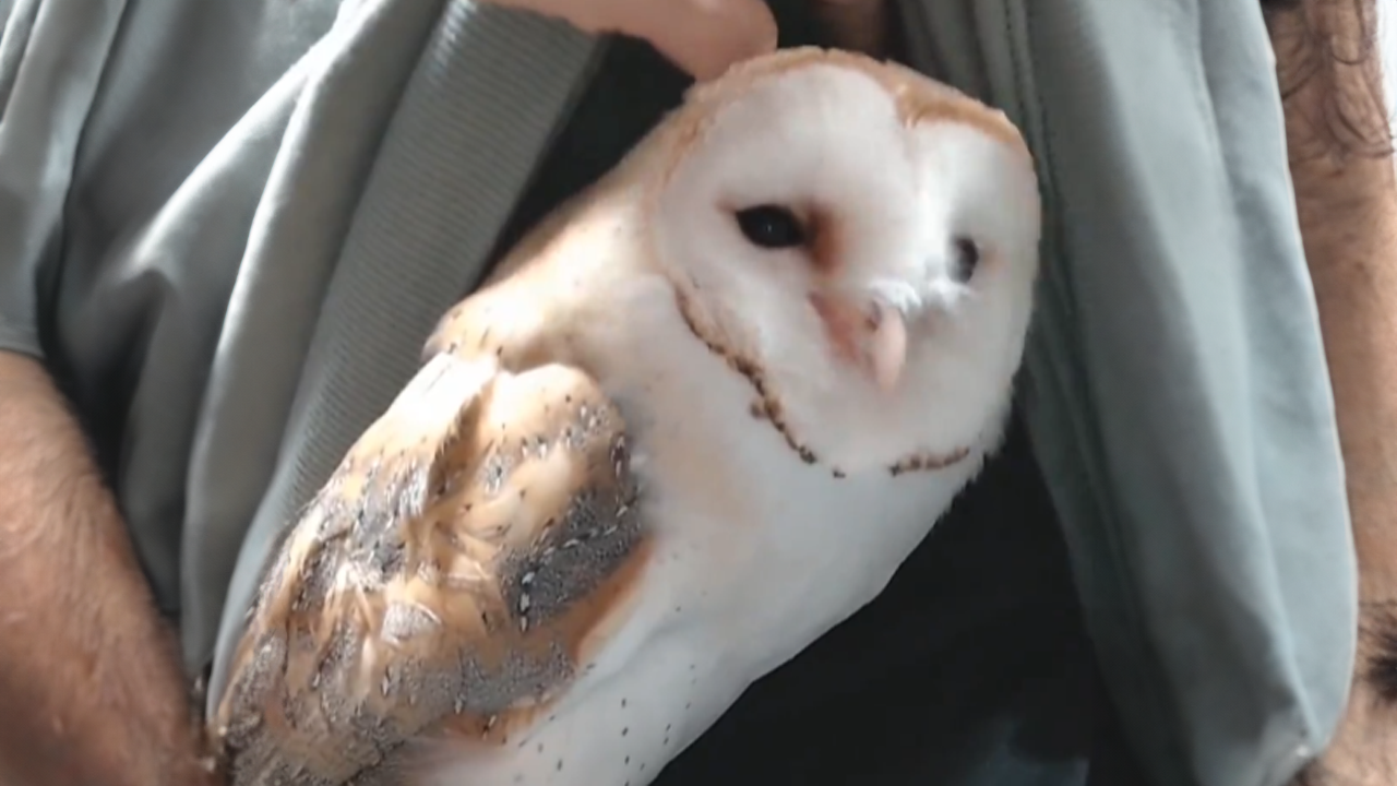 ViralHog dot com 2c4489d9a4ba2c8902aa7d8a20bd19ef