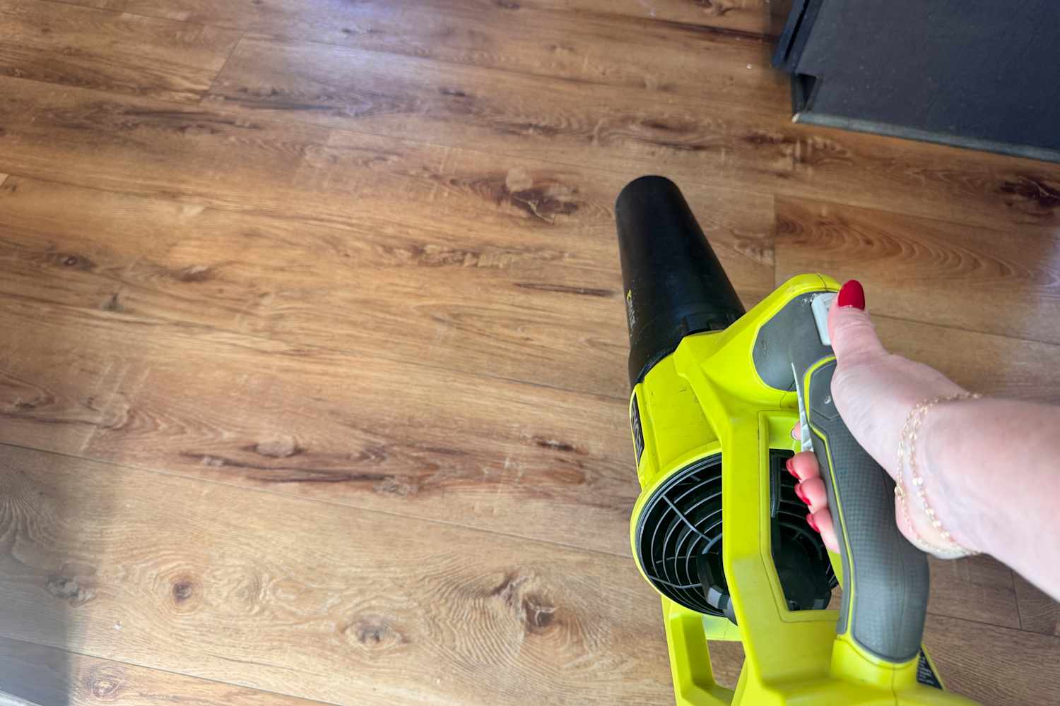 I used a leaf blower to clean inside my house, and it actually worked