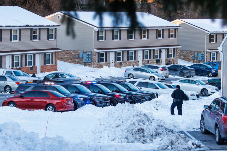 Coroner: 2 dead in Spring Grove murder-suicide, investigation ongoing