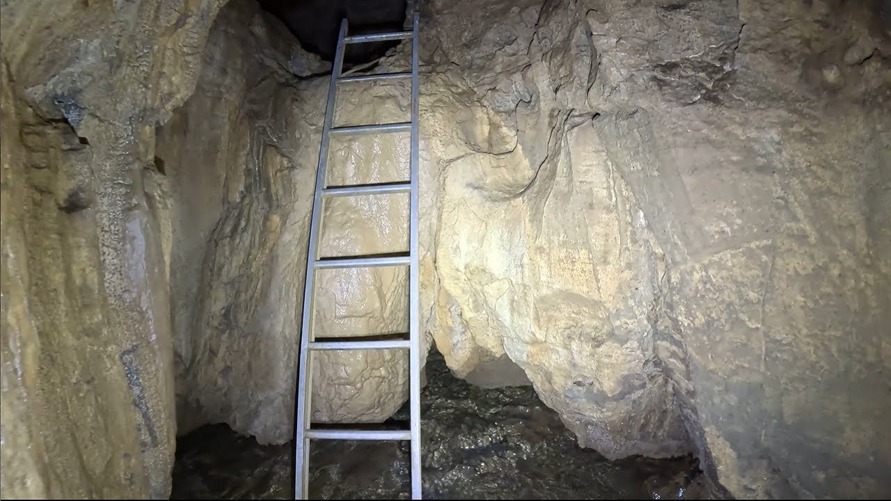 What this homeowner discovered under his backyard shocked everyone