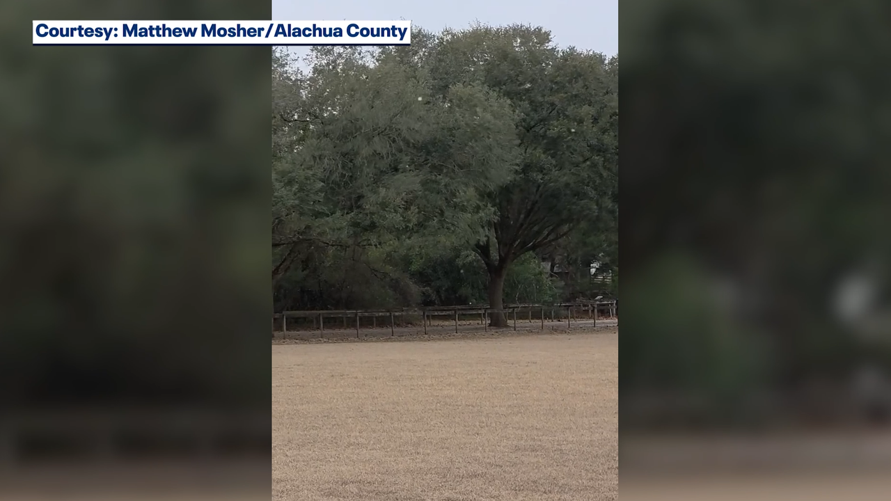 Snow flurries in Florida amid arctic freeze: photos and videos