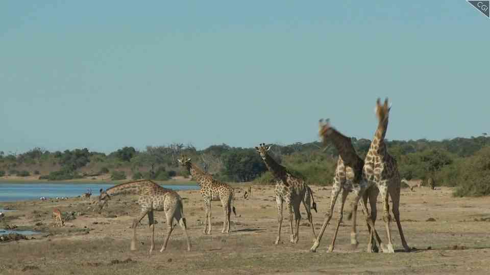 Why the Drake equation turns the search for aliens into a nightmare