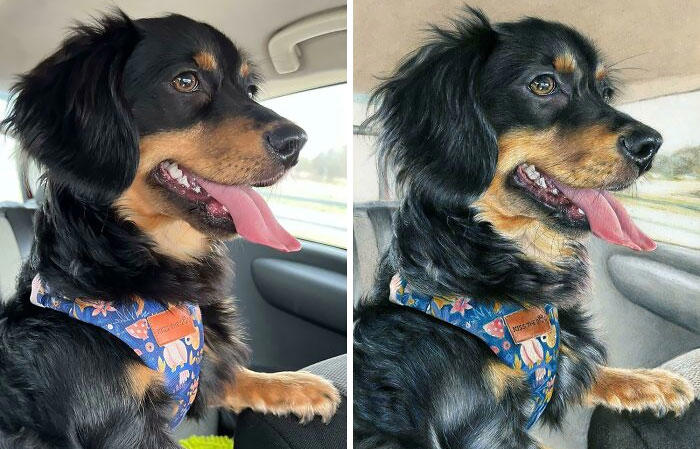 46 of the most interesting comparison pics that might give you a fresh ...