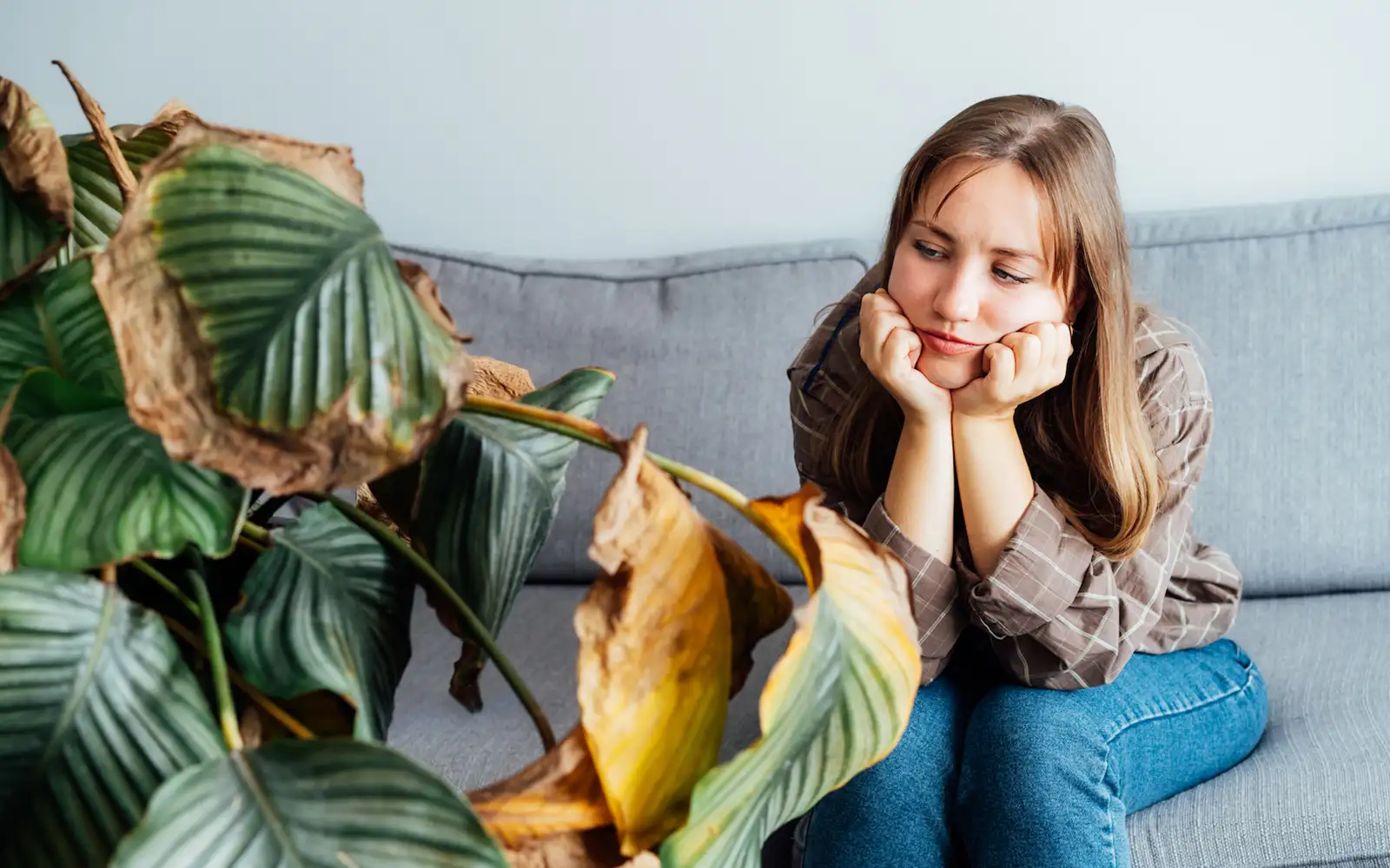 What to do if you’re a serial houseplant killer