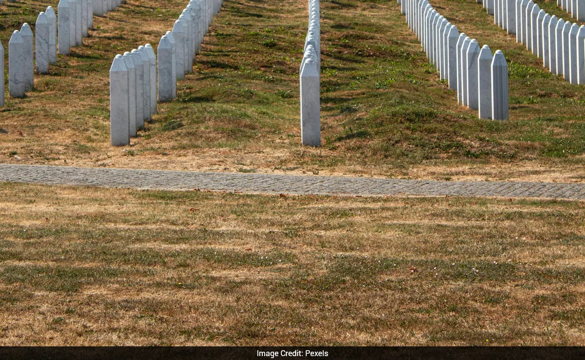 Mass burial site in Jordan offers new insights into history's first ...