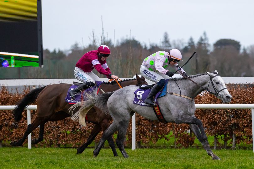 Dublin Racing Festival Sunday full race card and tips - list of runners ...