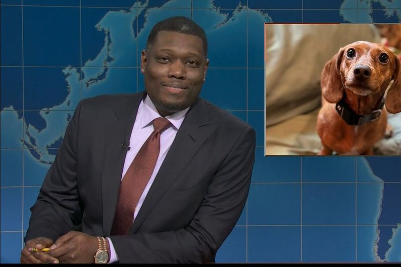 SNL mocks Kristi Noem shooting 'good boys' in dog quip after Pretti killing