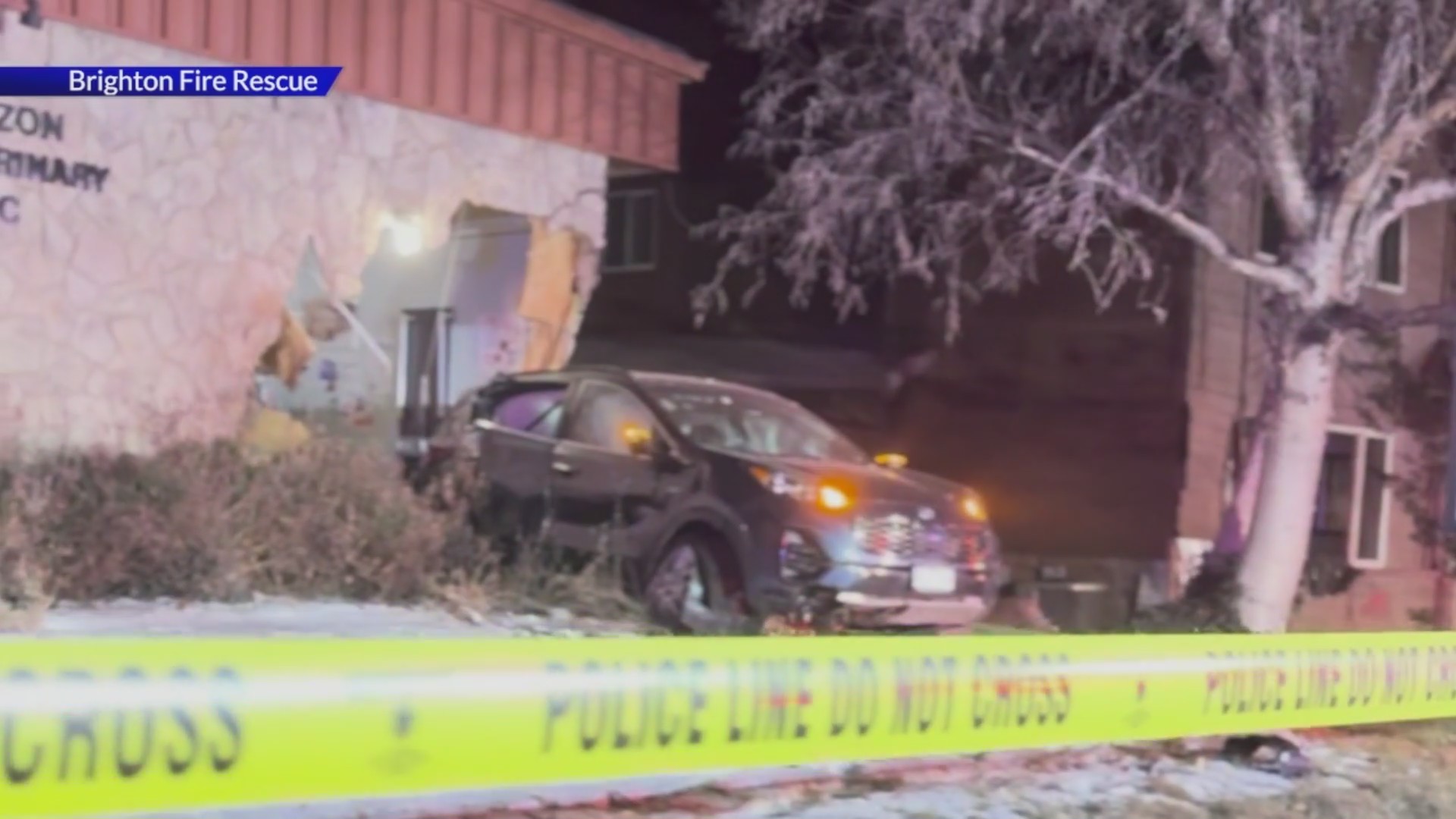 3 shot, 1 in custody, after overnight shooting at Brighton house party ...