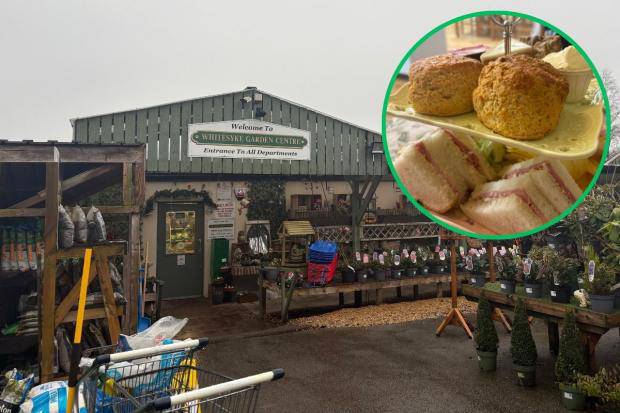I tried £18.99 afternoon tea for two at a popular Cumbrian garden centre