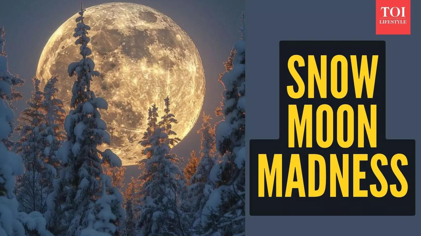 Why Snow Moon always arrives when you are emotionally exhausted: What ...