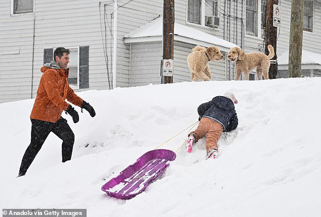 Snow in FLORIDA as 'bomb cyclone' wreaks carnage across south east with ...