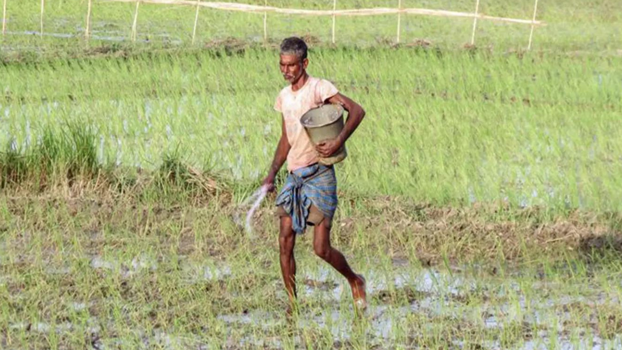 Slightly warm and dry Feb may impact Rabi crops, IMD predicts while ...