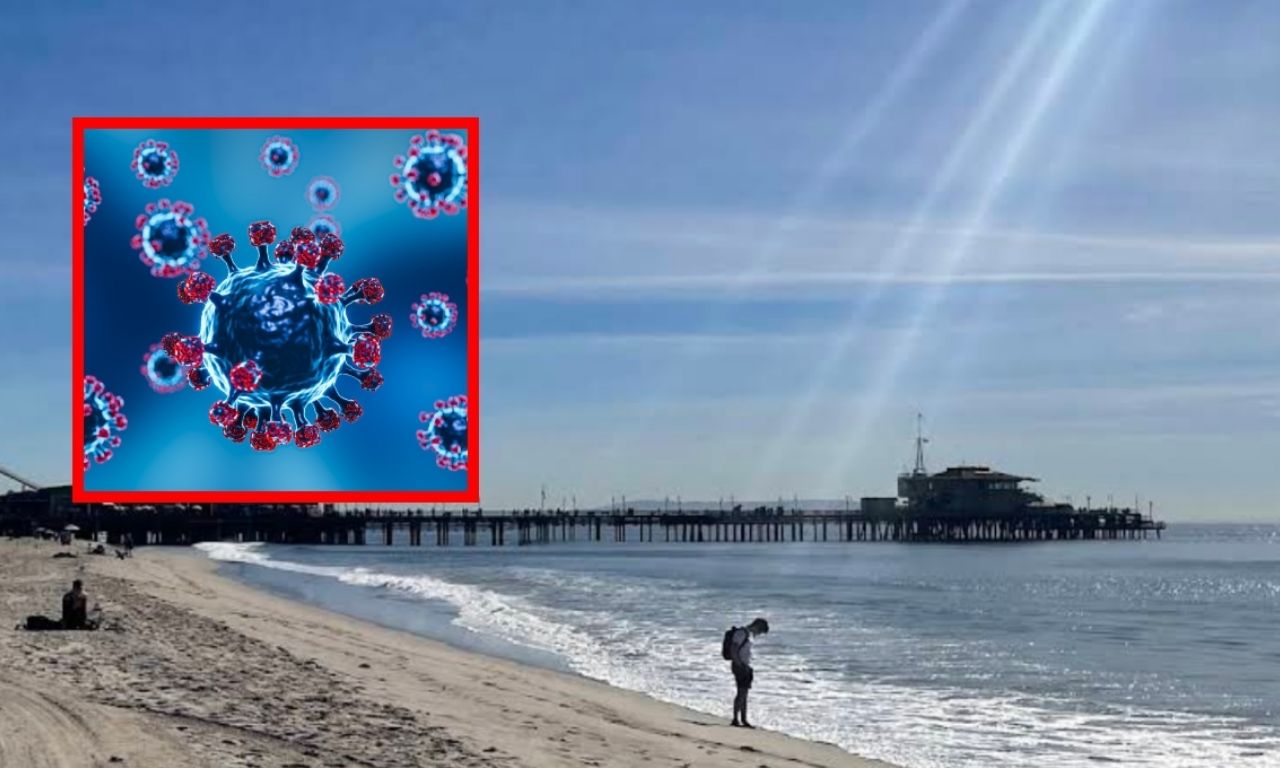 Alertan por peligrosa bacteria, químicos tóxicos y algas dañinas en ...