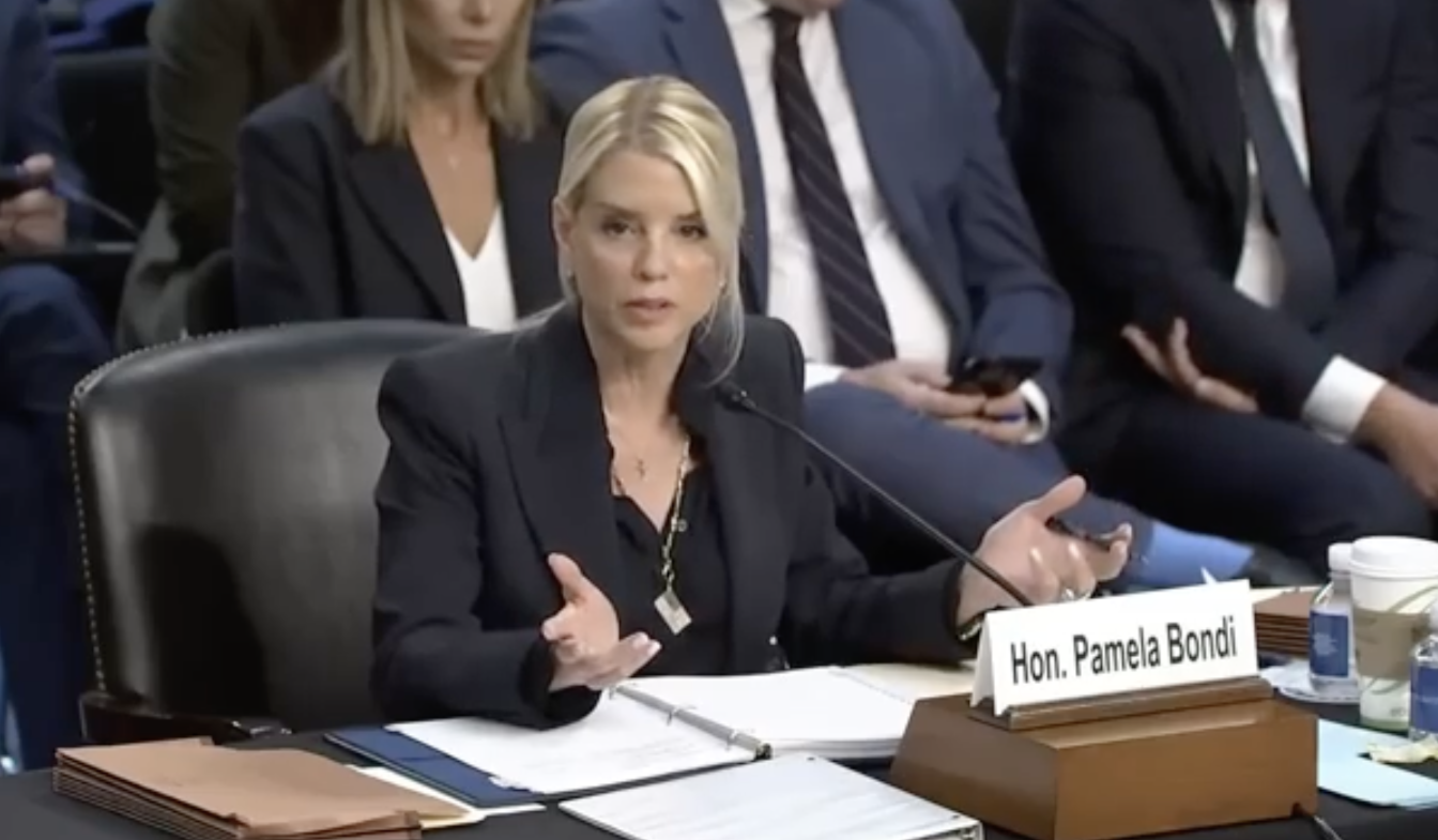 'Does that mean you're a member of Antifa?': Pam Bondi grasps at straws ...