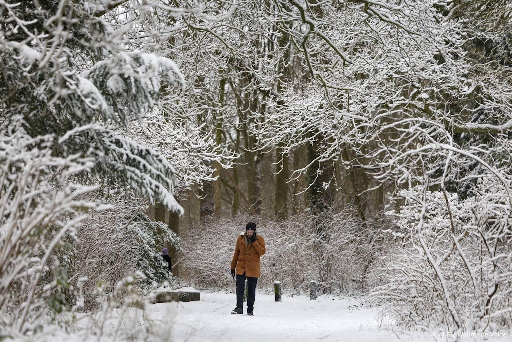 Kou en sneeuw verwacht in februari, tegen het einde warmer