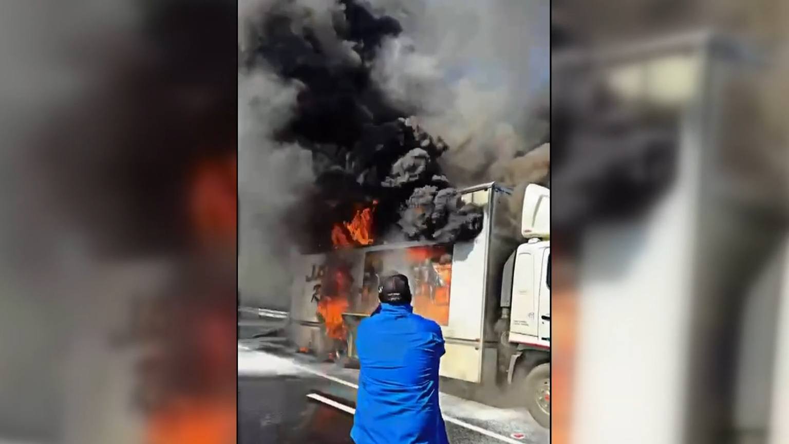 Champion horse saved from fire