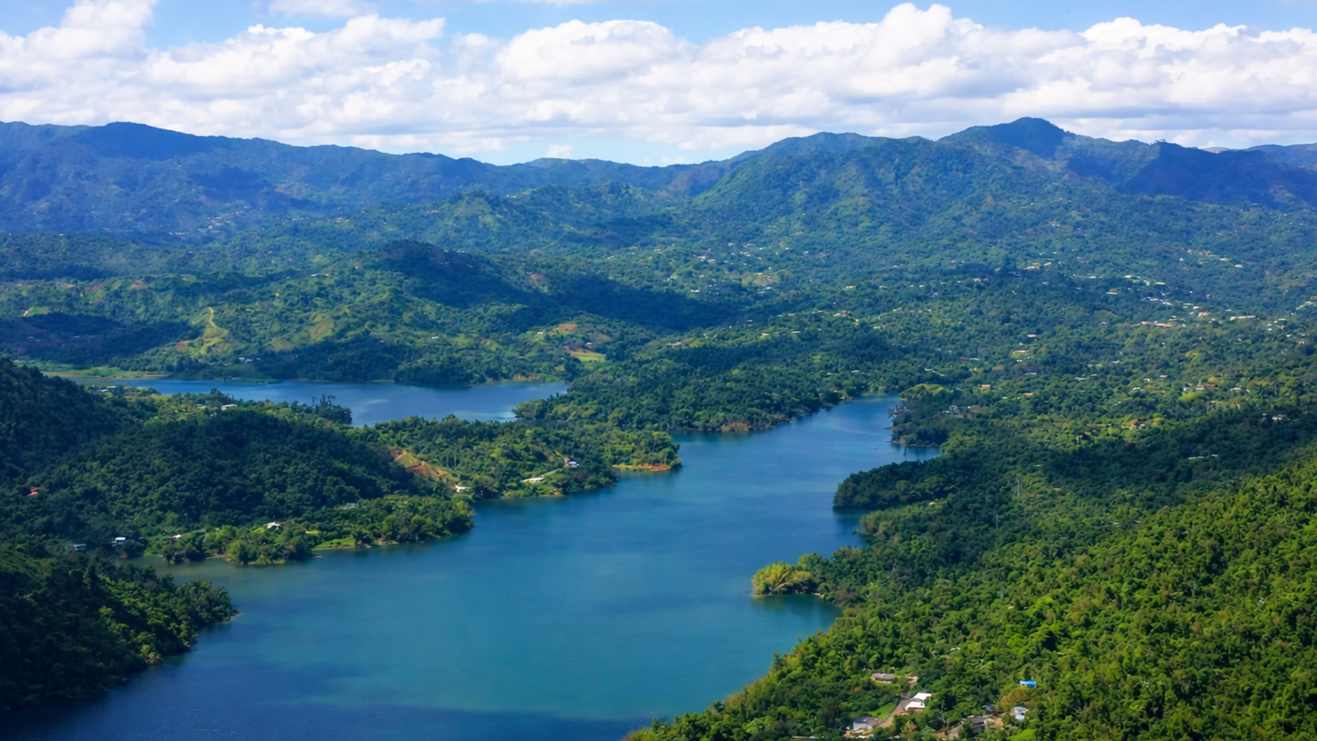 Donde el agua atraviesa el verde