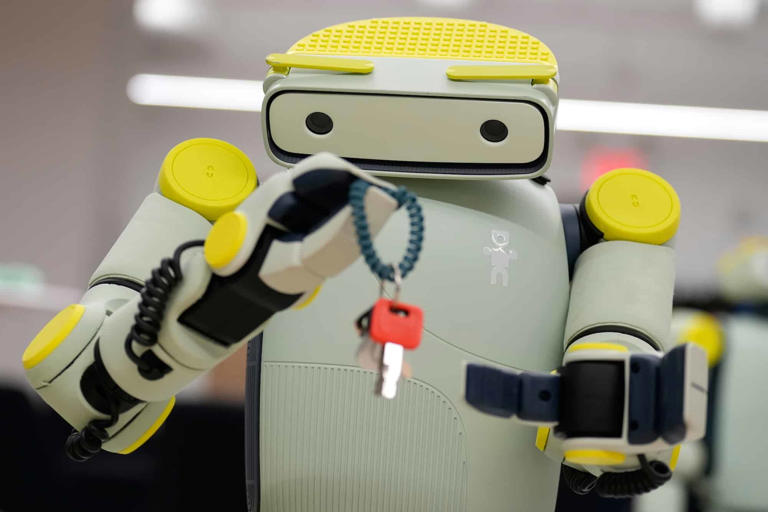 Not ready for robots in homes?