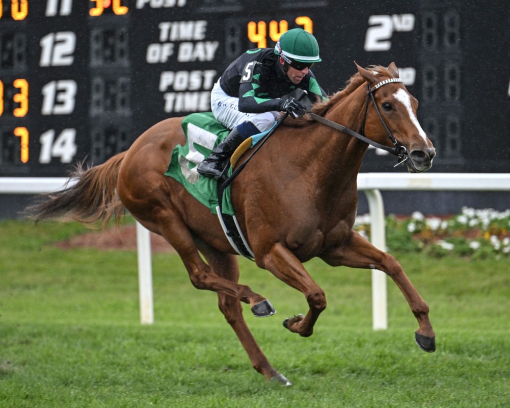 Smooth sailing for Aussie girl in Endeavour