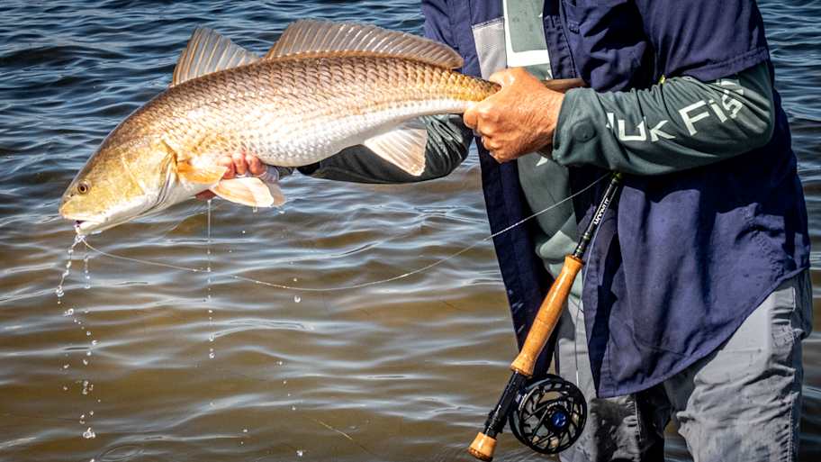 Why a fiberglass 8-weight might be the best redfish rod you’re not fishing