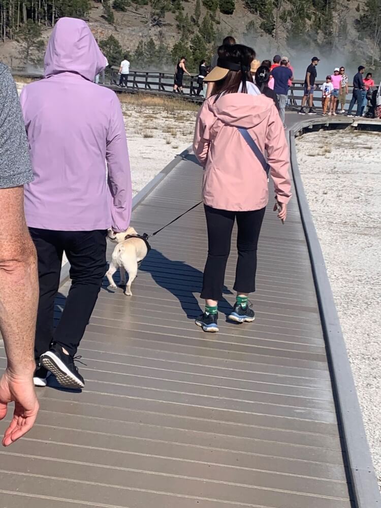 Onlooker sparks outrage with photos of tourist's thoughtless behavior ...