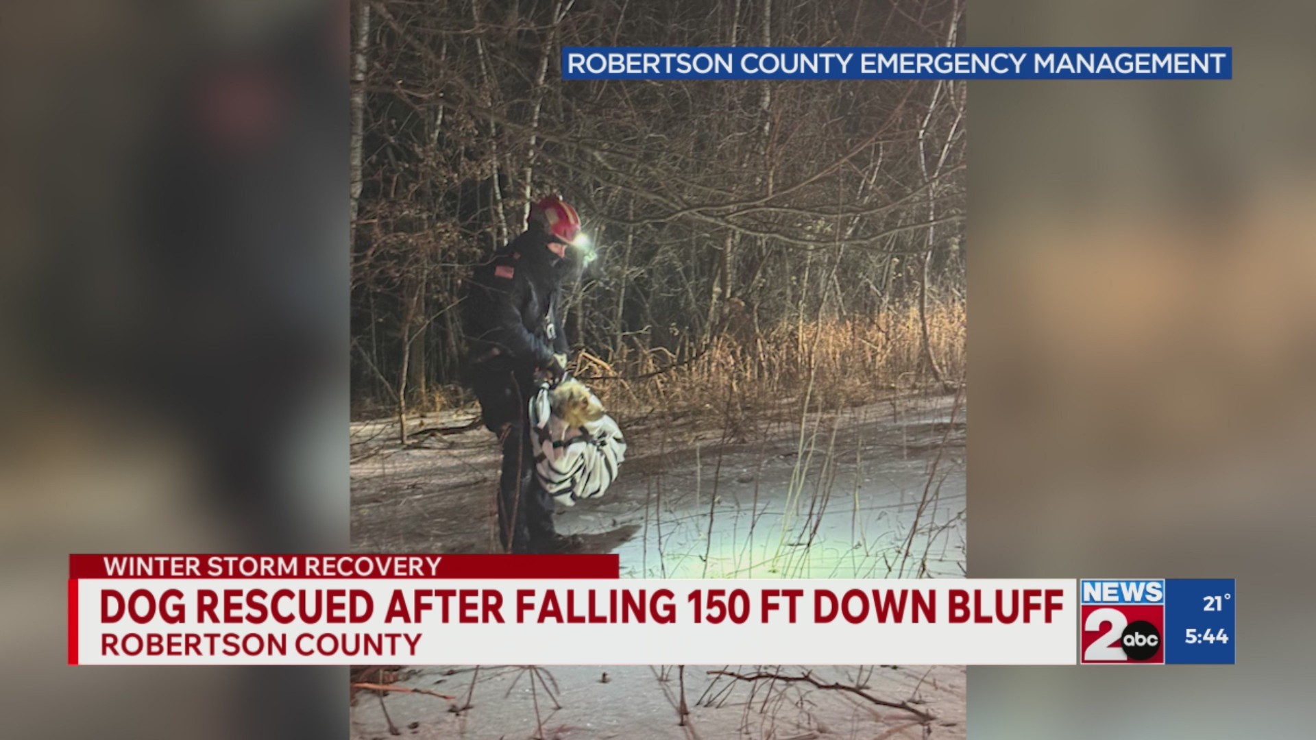 Dog rescued after falling 150 feet down bluff in Robertson County