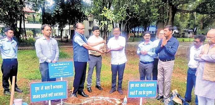 An educator realises life mission by planting 8K saplings in 25 years