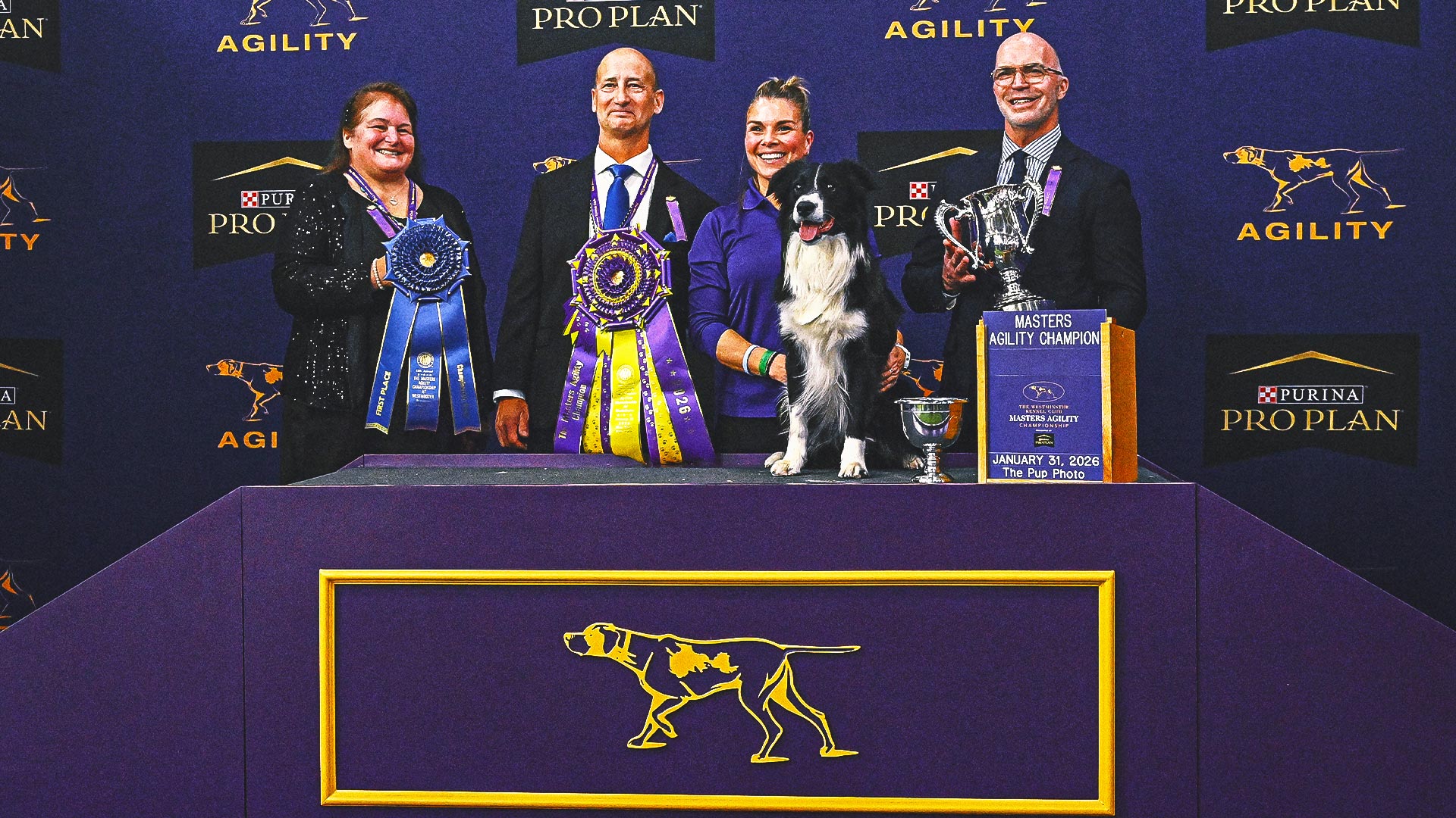 2026 WKC dog show: Prove-It the border collie wins masters agility ...