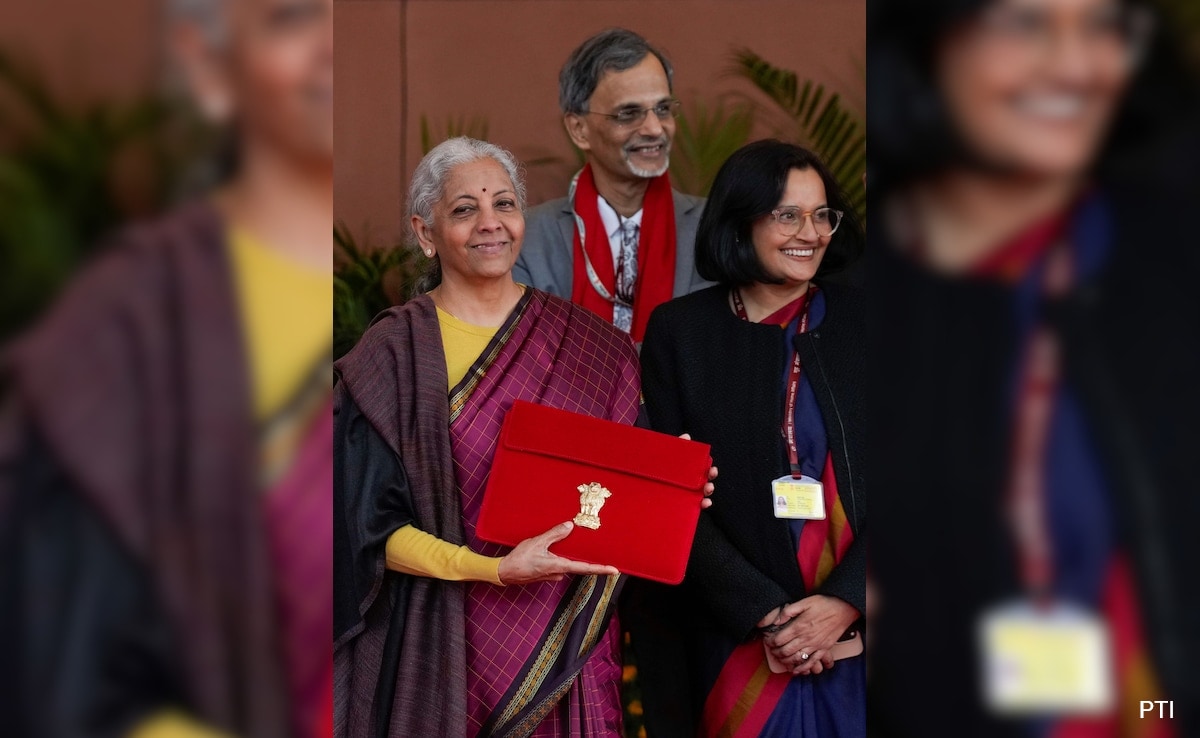 9 budgets, 9 sarees: Nirmala Sitharaman's budget day attire
