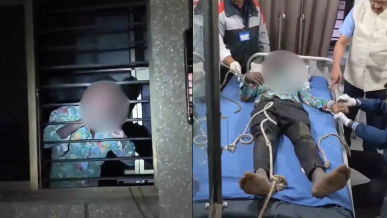 Bitten by dog, missed vaccine: Gujarat labourer develops rabies, bites ...