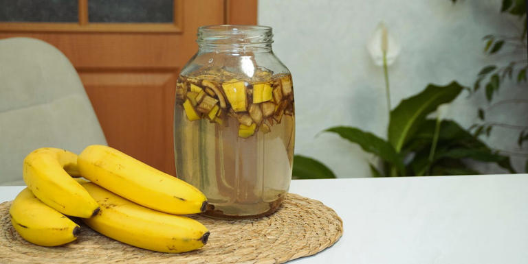 Does banana water work as plant fertilizer? An expert answers