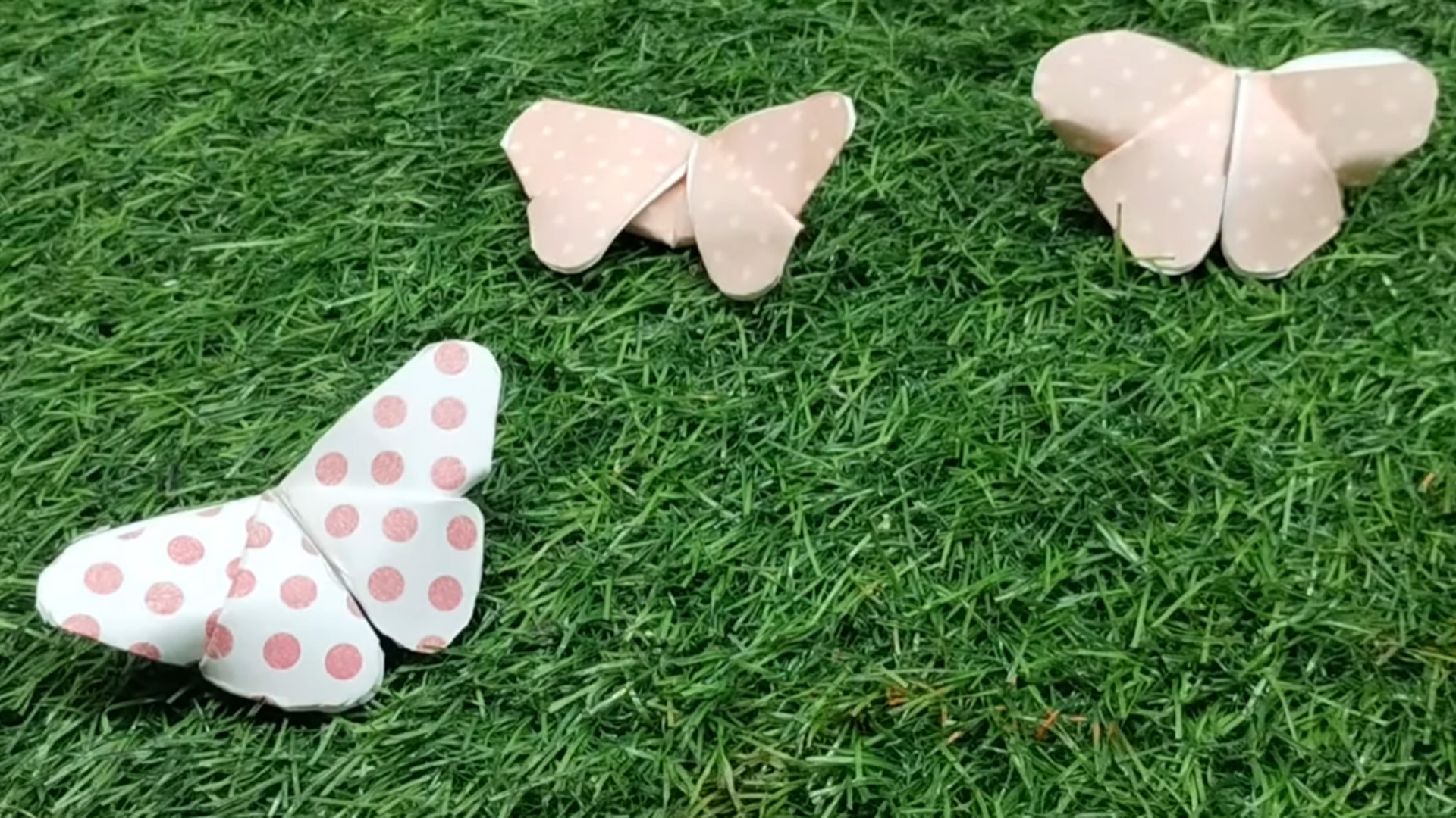 Folding a colorful butterfly with basic origami techniques