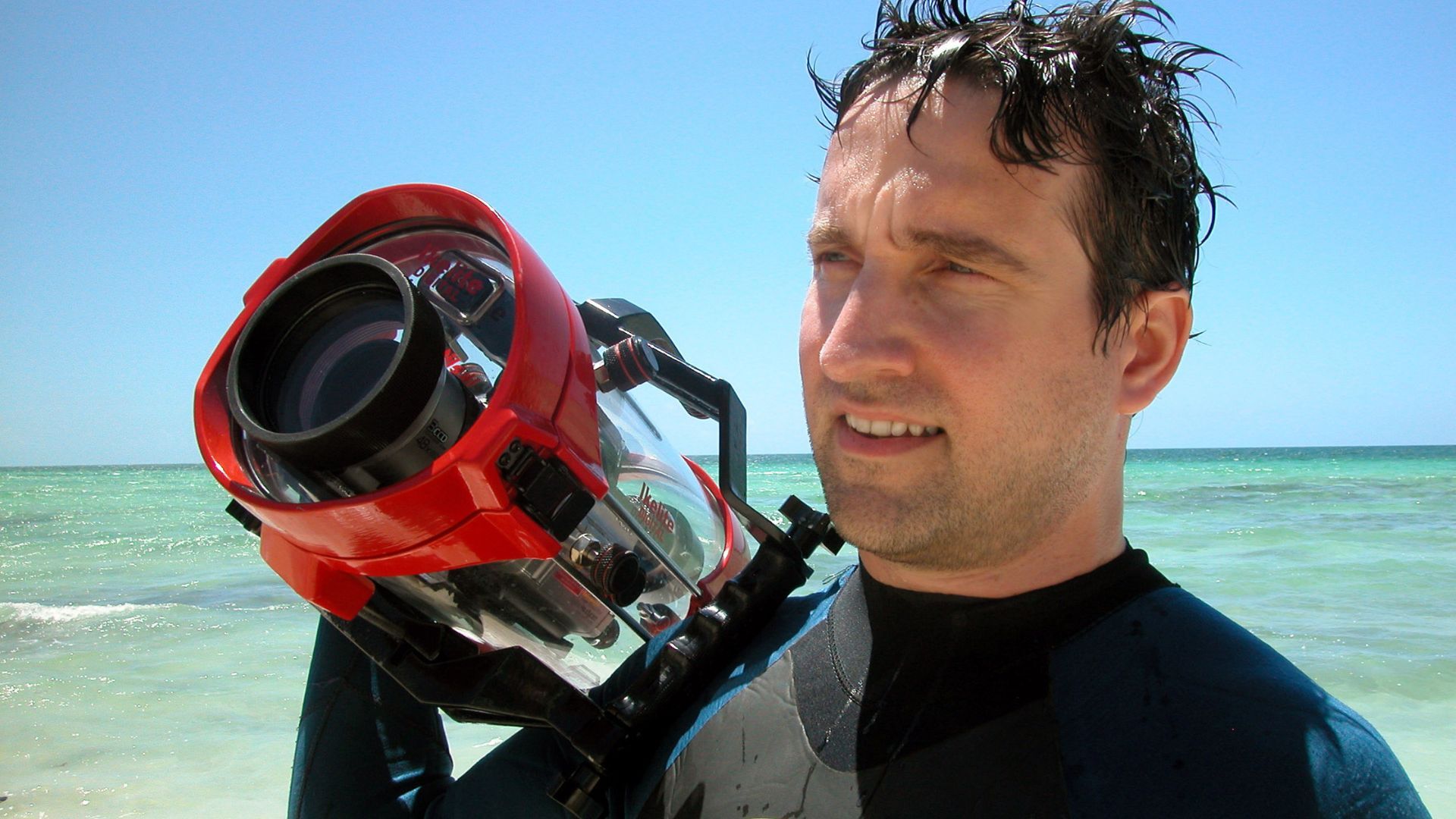 Cult classic shark thriller Open Water coming to HBO Max in February
