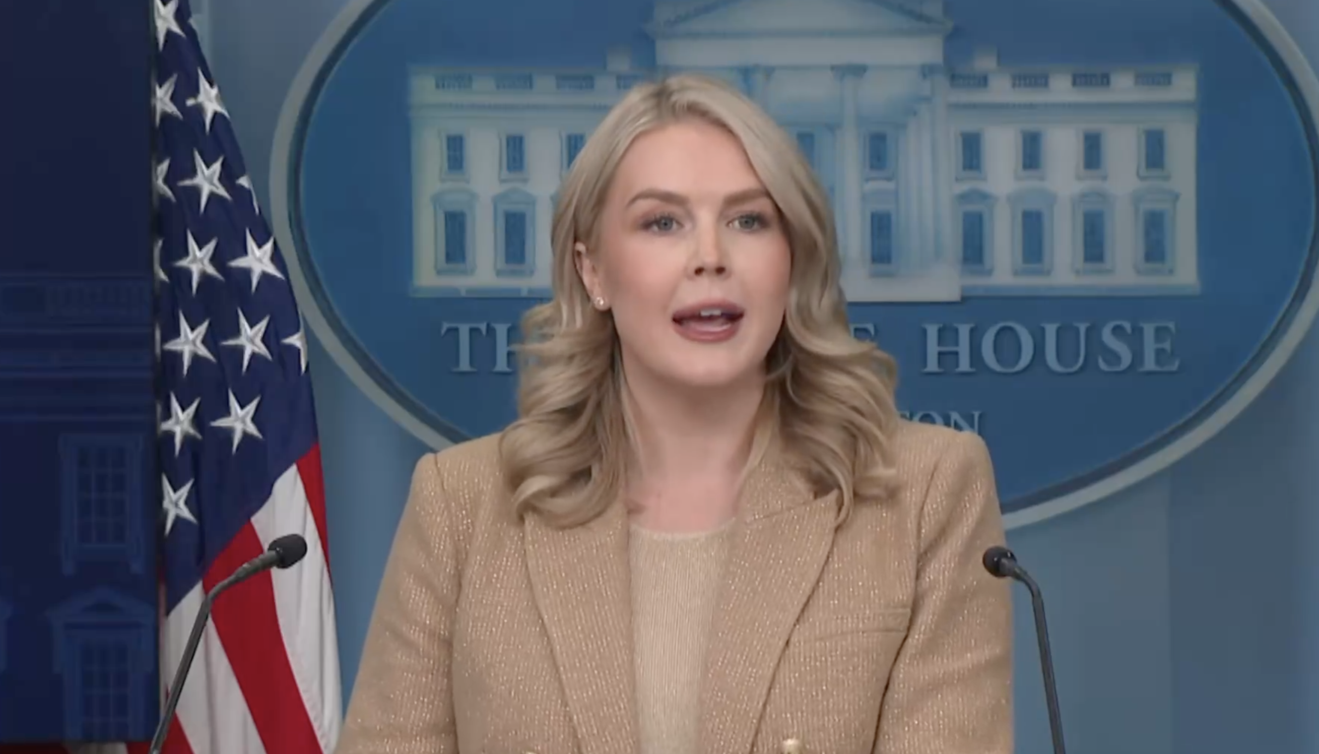 'His position is rooted in common sense': Karoline Leavitt claims Trump ...