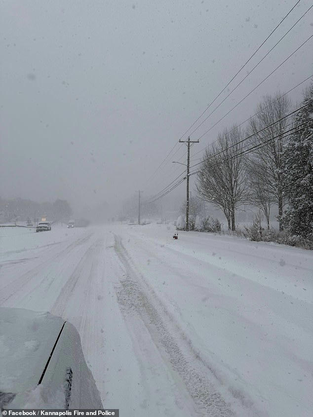 Snow in FLORIDA as 'bomb cyclone' wreaks carnage across south east with ...