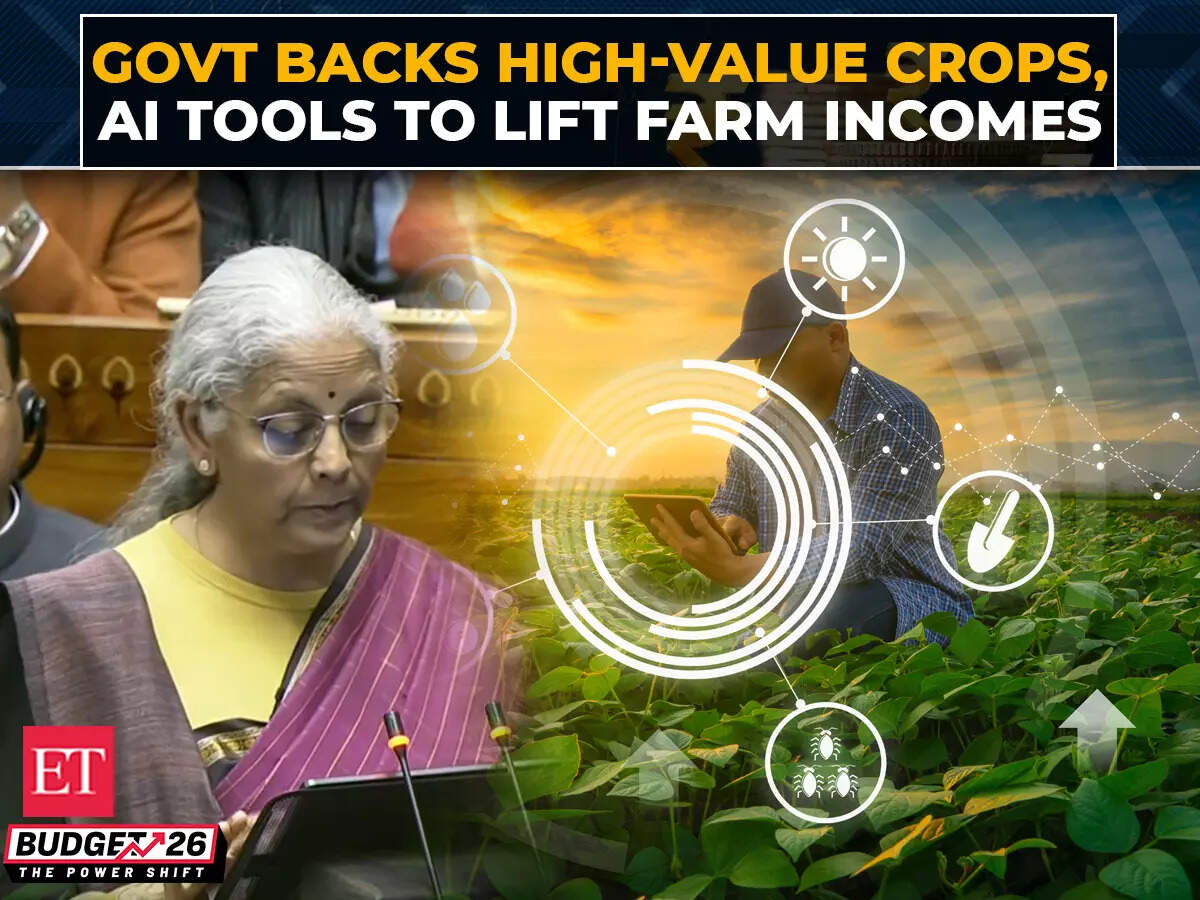 Budget 2026: FM Sitharaman proposes multilingual AI tool, backs high ...